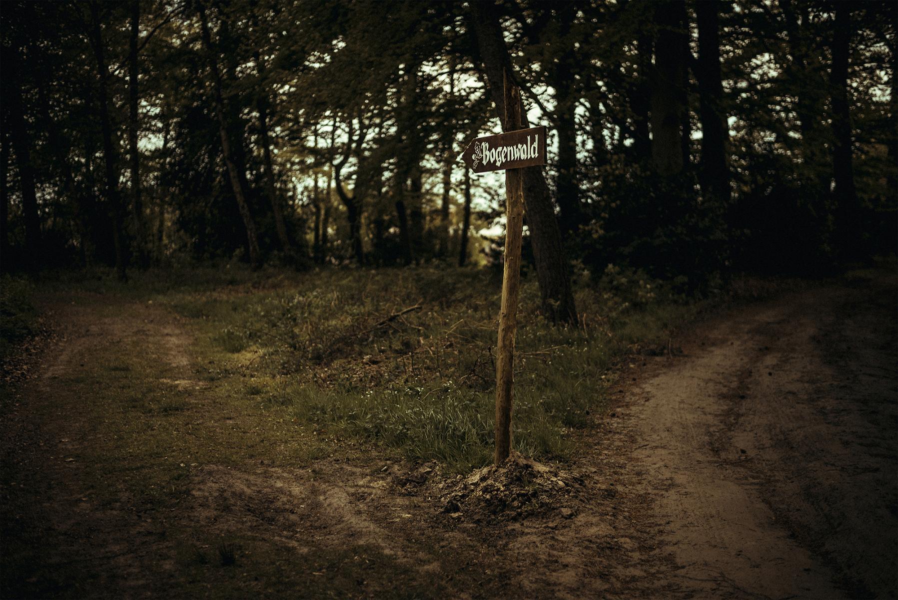 Bogenwald - Veranstaltungen